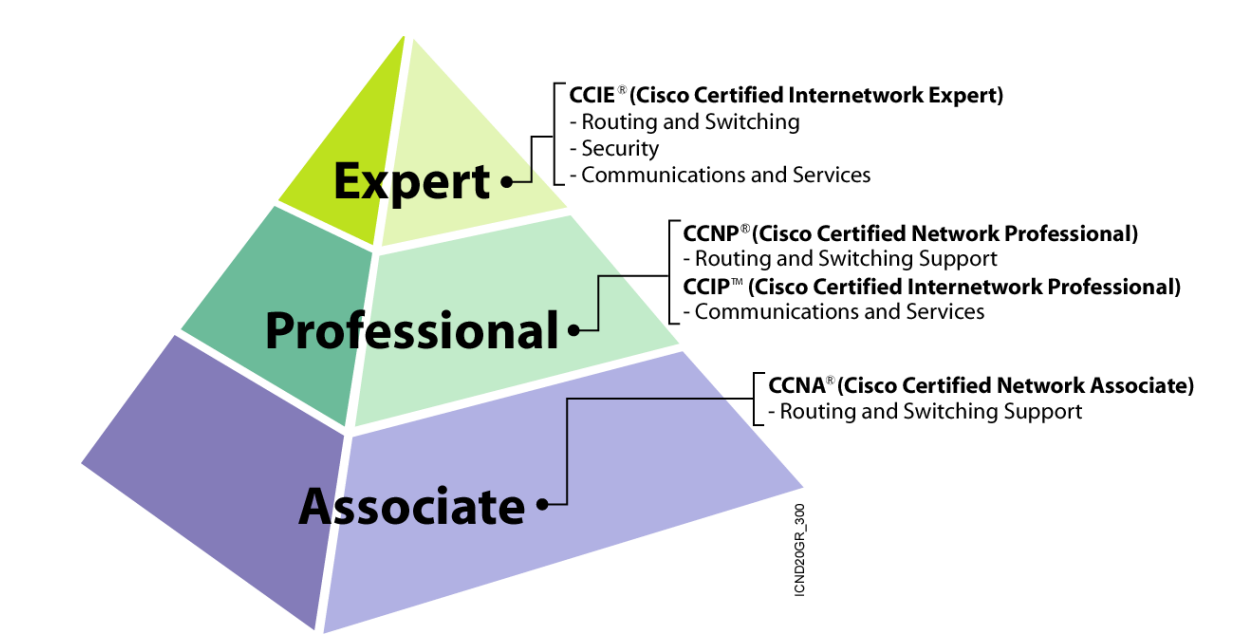All about Top Certification in Networking - Youngster Company